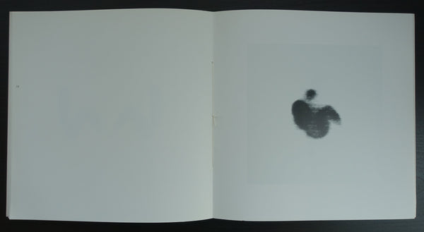 Flip Bool # KIRSTEN GEISLER # edition of 400, 1993, vg+ – ftn books