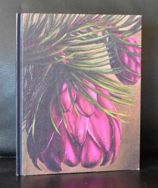 Ina Van Zyl # SHAME PIECES # 2010, nm+ – ftn books